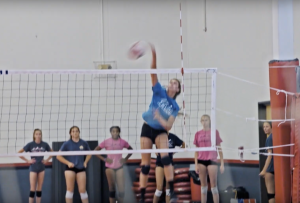 IMPACT Volleyball Club – Elite and Competitive Club